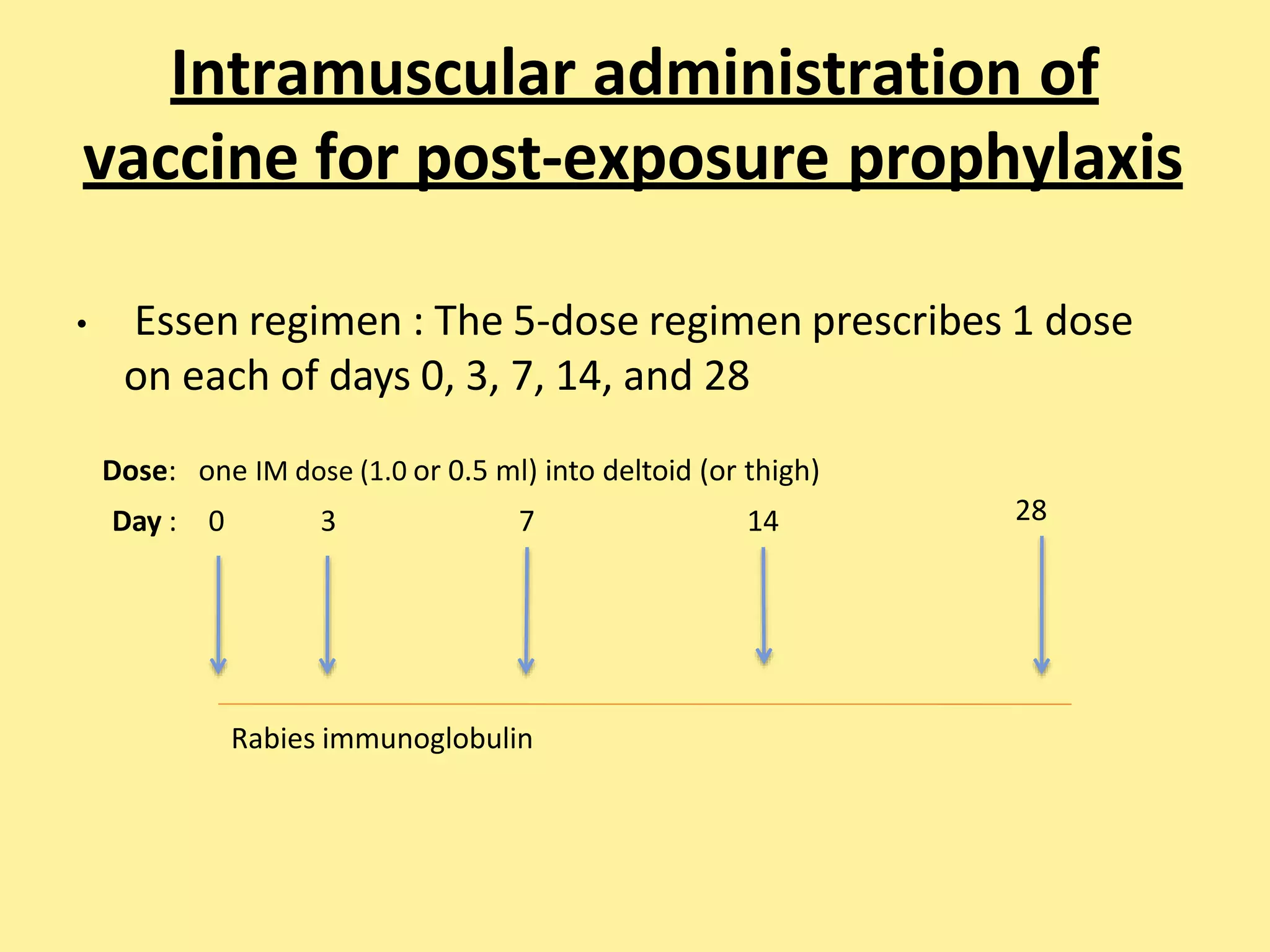 rabies review | PPTX