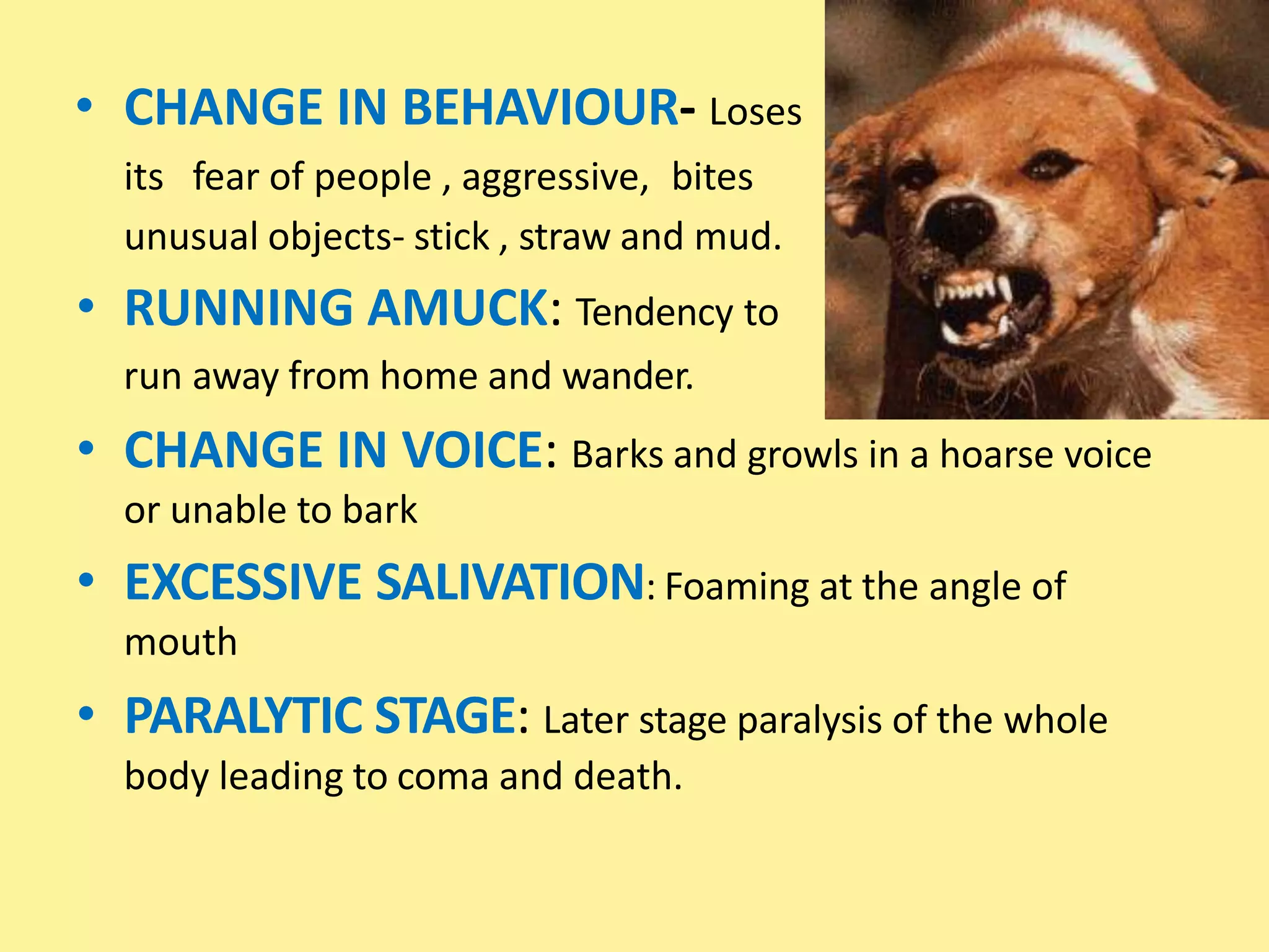 rabies review | PPTX
