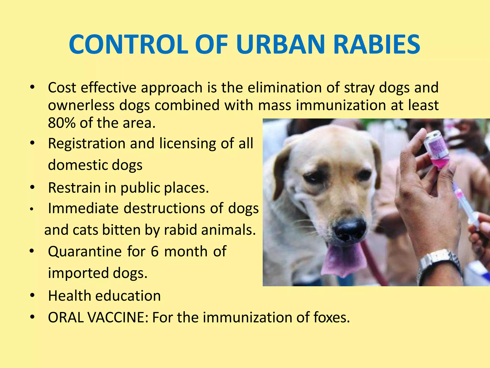 rabies review | PPTX