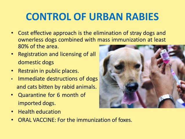 rabies review | PPT