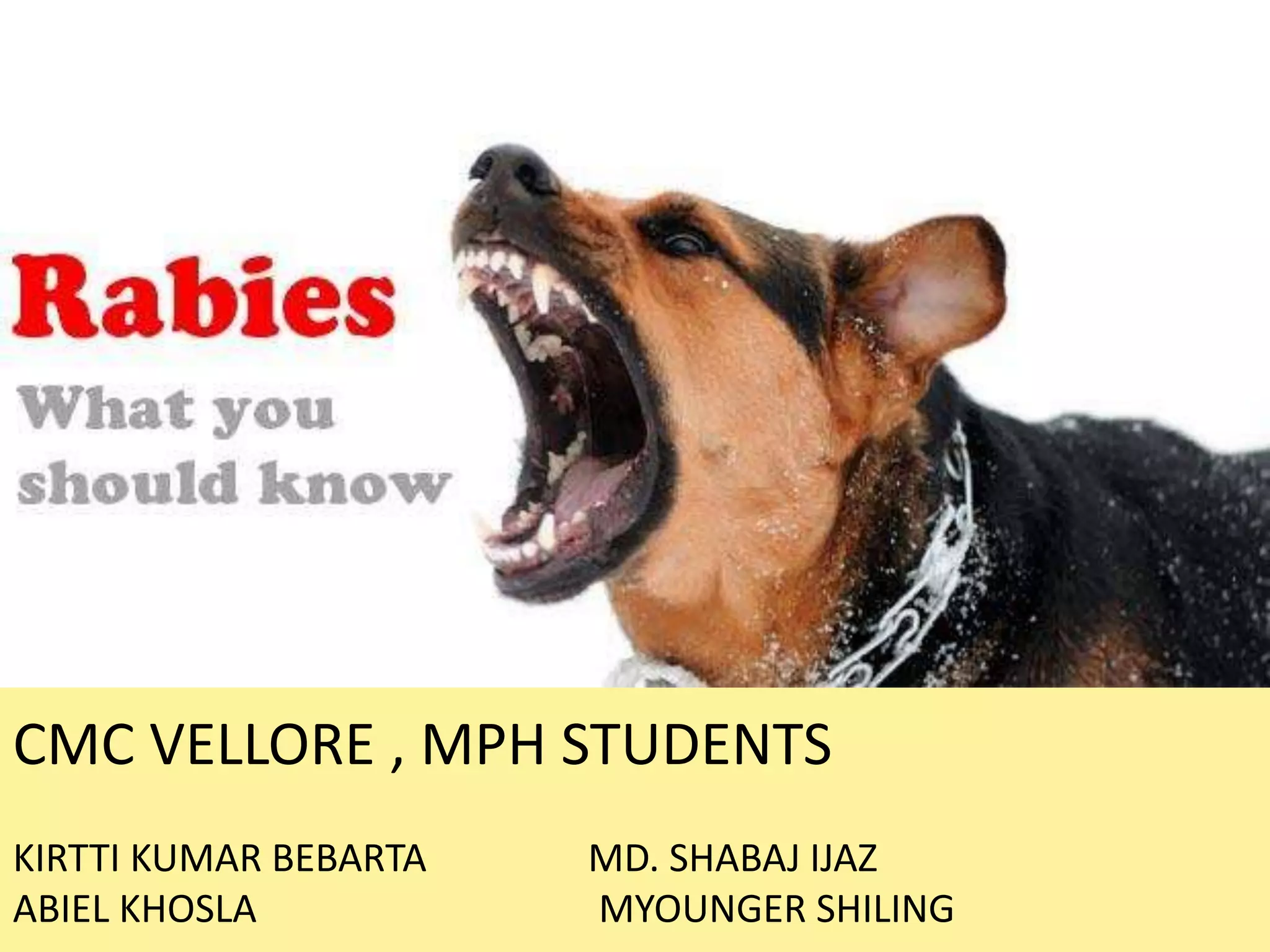 Rabies ppt | PPTX