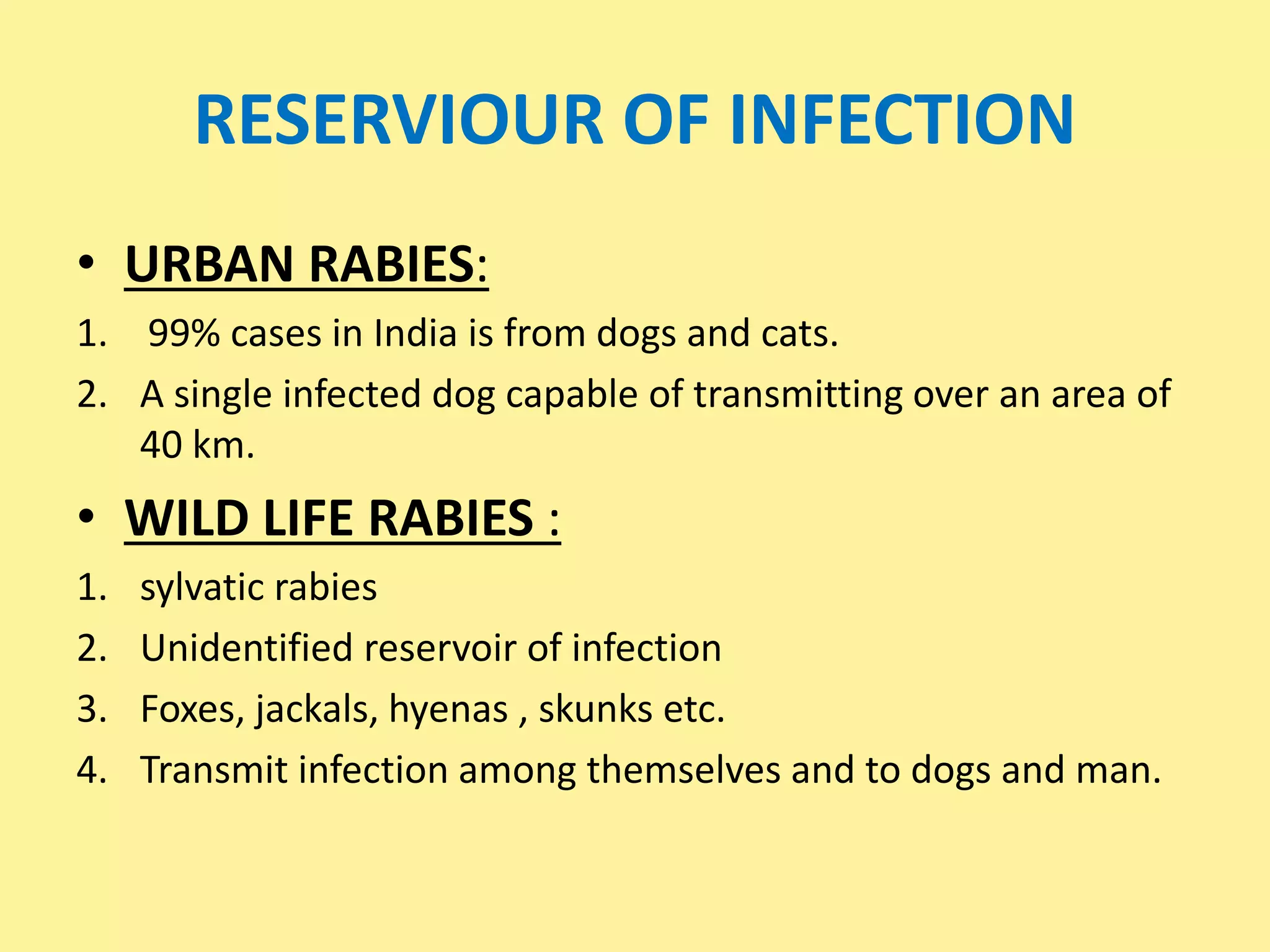 Rabies ppt | PPTX