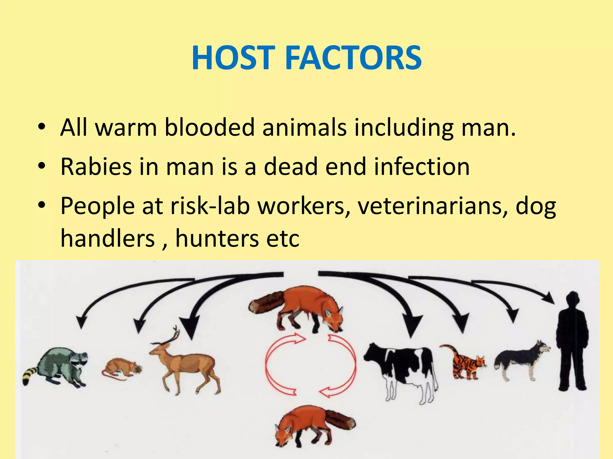 Rabies ppt | PPTX