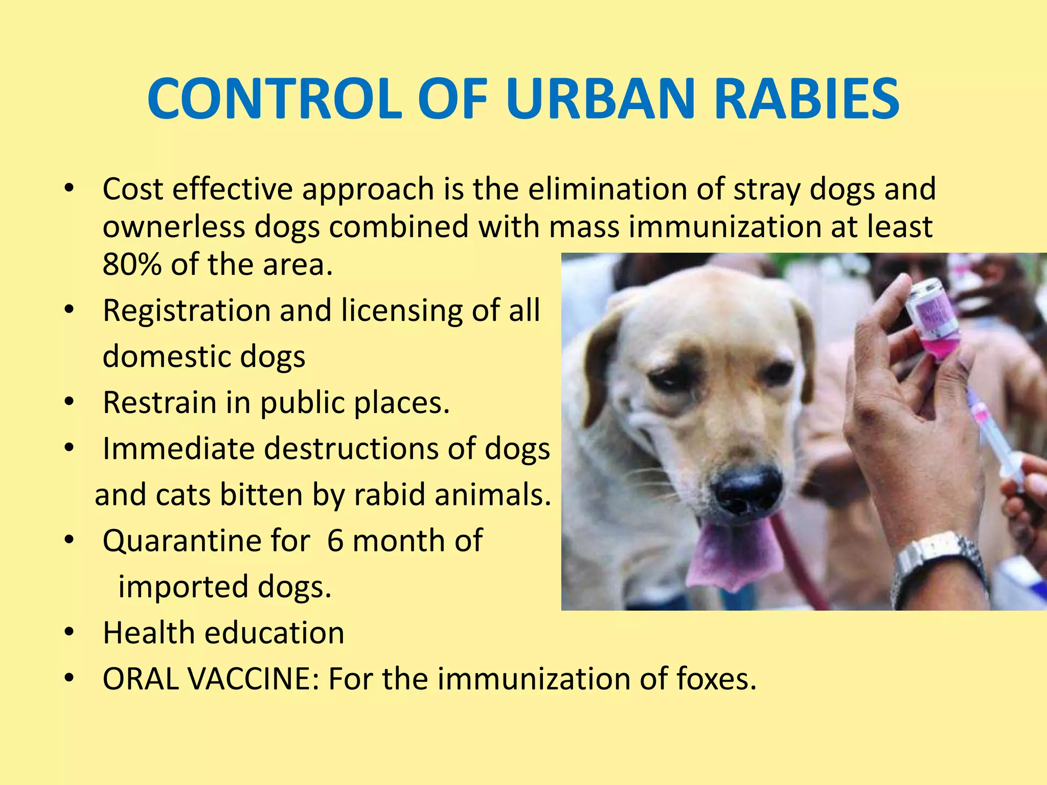 Rabies ppt | PPTX