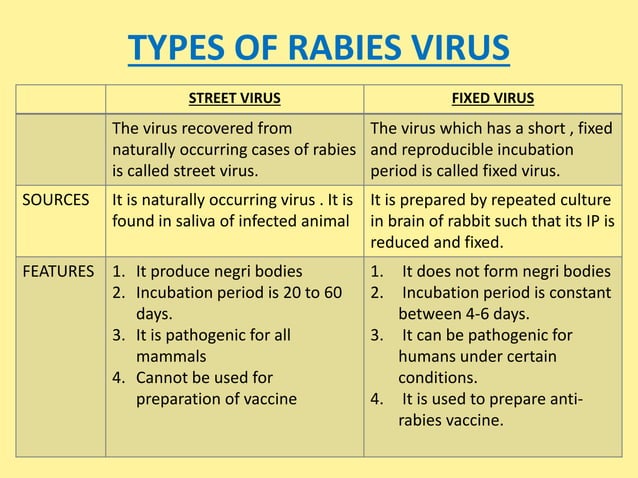 Rabies ppt | PPTX