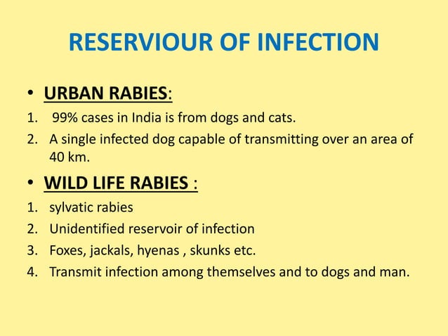 Rabies ppt | PPTX