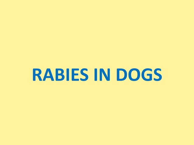 Rabies ppt | PPTX