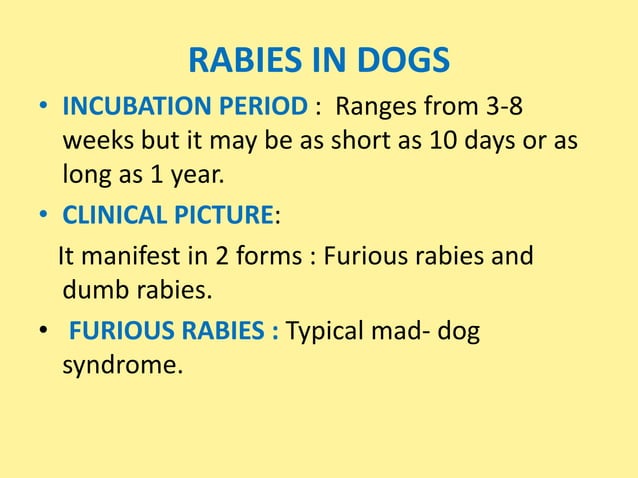 Rabies ppt | PPTX