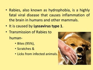 Hydrophobia Rabies