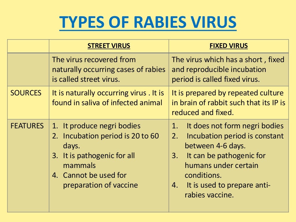 Rabies ppt