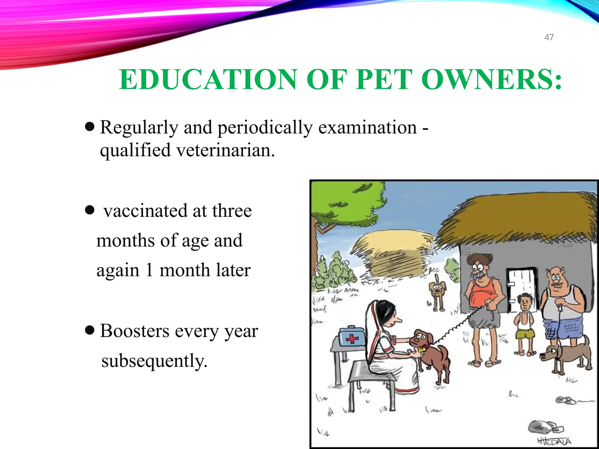 Rabies - clinical features/path/diag/treatment | PPTX