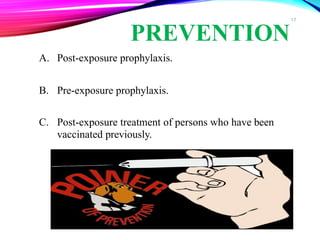 Rabies - clinical features/path/diag/treatment | PPTX