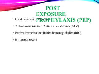 Rabies - clinical features/path/diag/treatment | PPTX