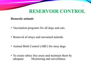 Rabies - clinical features/path/diag/treatment | PPTX