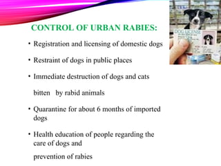 Rabies - clinical features/path/diag/treatment | PPTX