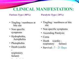 Rabies - clinical features/path/diag/treatment | PPTX