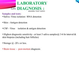 Rabies - clinical features/path/diag/treatment | PPTX