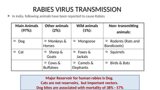 RABIES-RB epidemiology community health nursing | PPTX