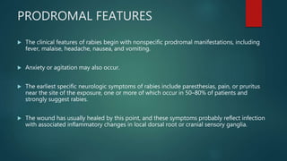 Rabies rod prasad | PPTX | Infectious Diseases | Diseases and Conditions
