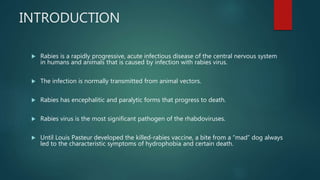 Rabies rod prasad | PPTX | Infectious Diseases | Diseases and Conditions