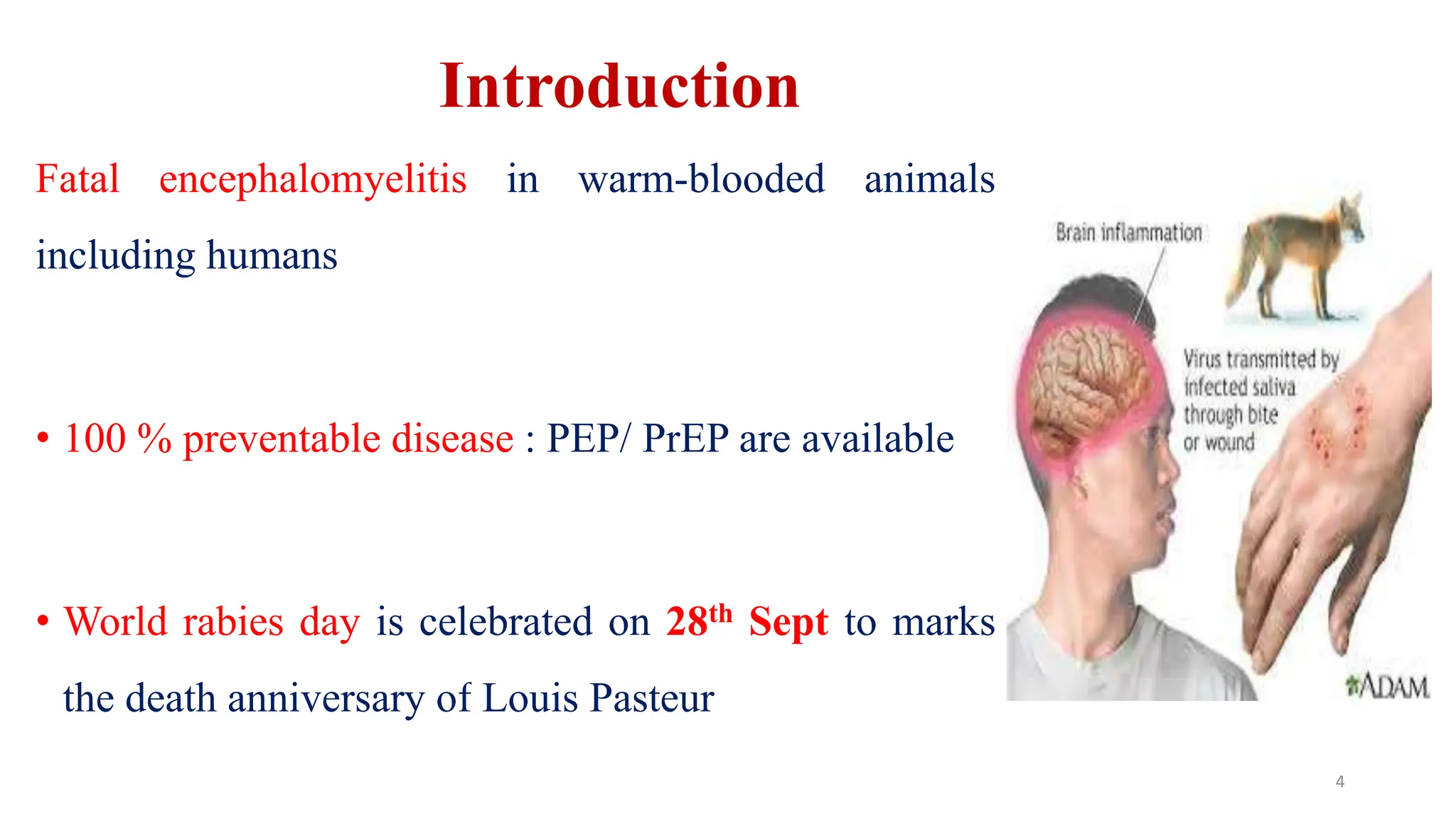 Rabies - presentation 2024 ims & SUM Hospital campus 2 | PPTX