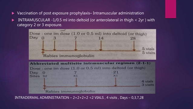 Rabies | PPT