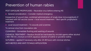 Rabies | PPTX