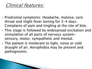 Rabies 1234 | PPTX | Infectious Diseases | Diseases and Conditions
