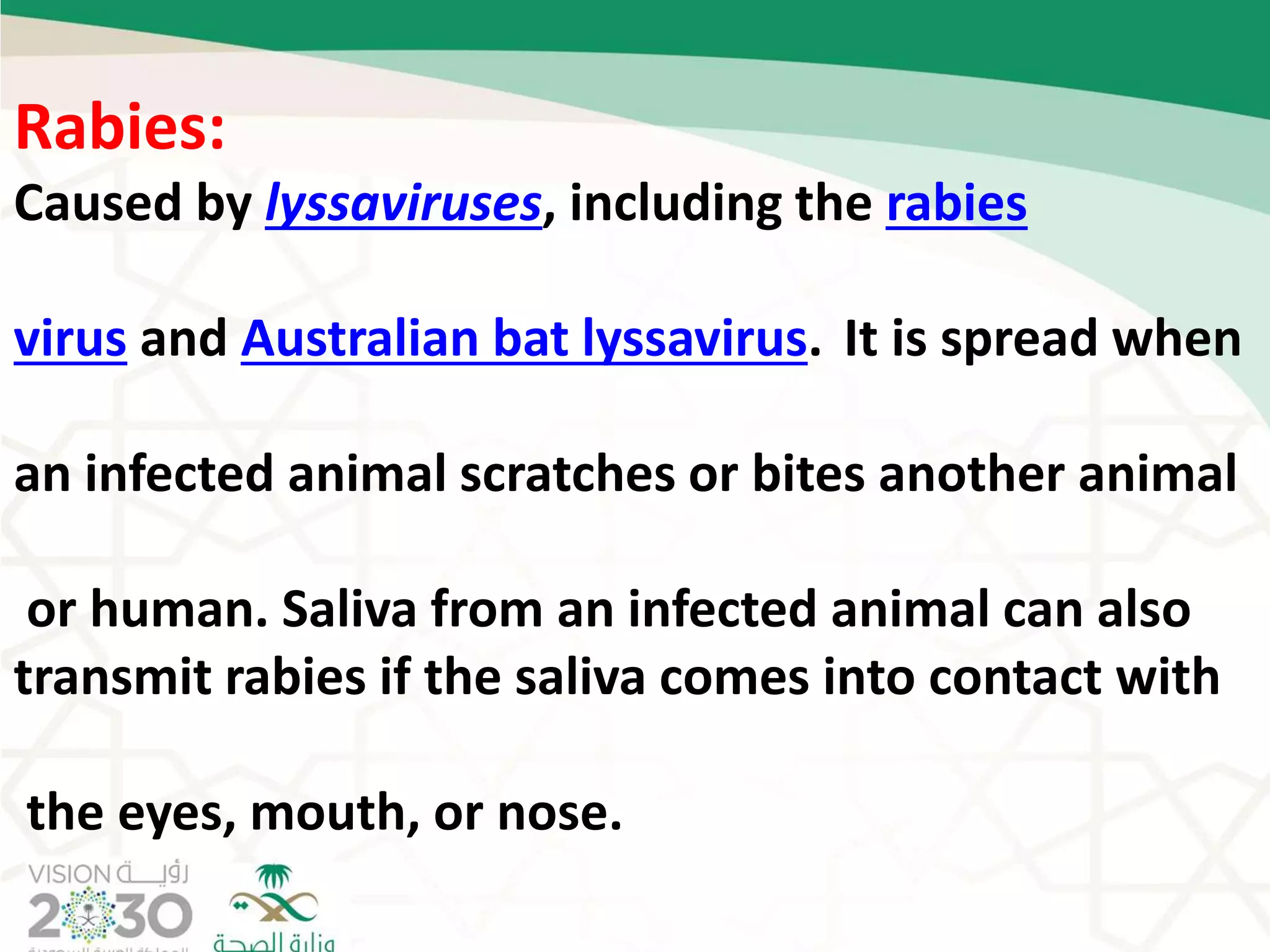 Rabies (2) | PPT
