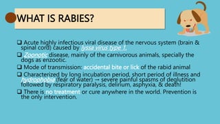 RABIES 2.pptx