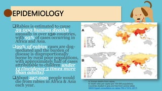 RABIES 2.pptx