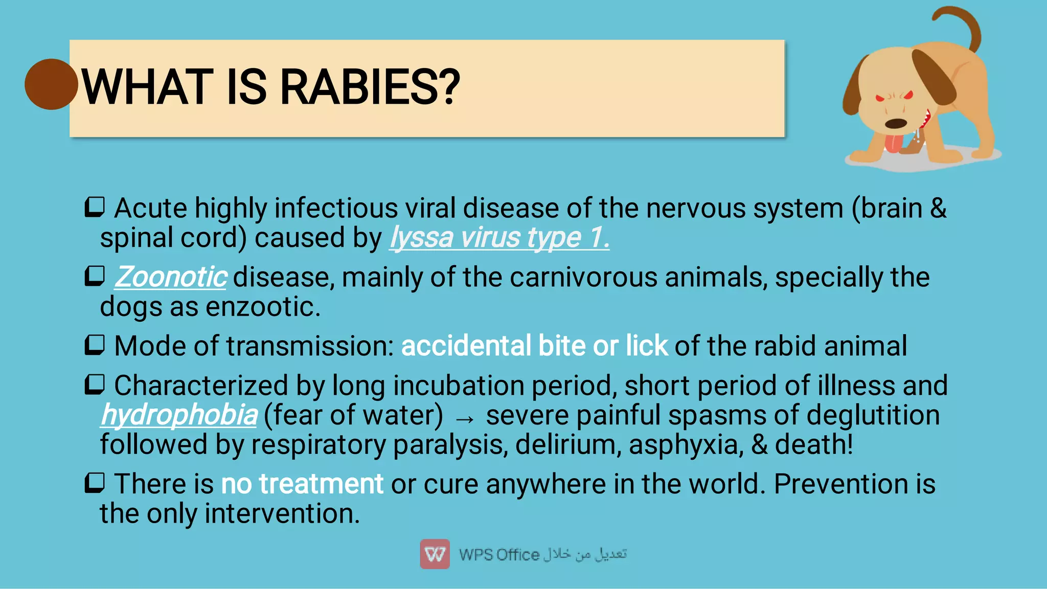 RABIES | PDF