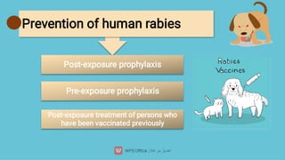 RABIES | PDF