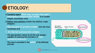 RABIES | PDF