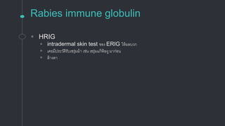 Rabies 2561 | PPTX
