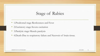 Rabies | PPTX | Infectious Diseases | Diseases and Conditions