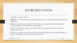 Rabies | PPTX | Infectious Diseases | Diseases and Conditions