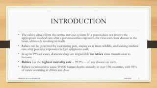 Rabies | PPTX | Infectious Diseases | Diseases and Conditions