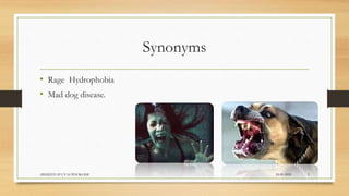 Rabies | PPTX | Infectious Diseases | Diseases and Conditions