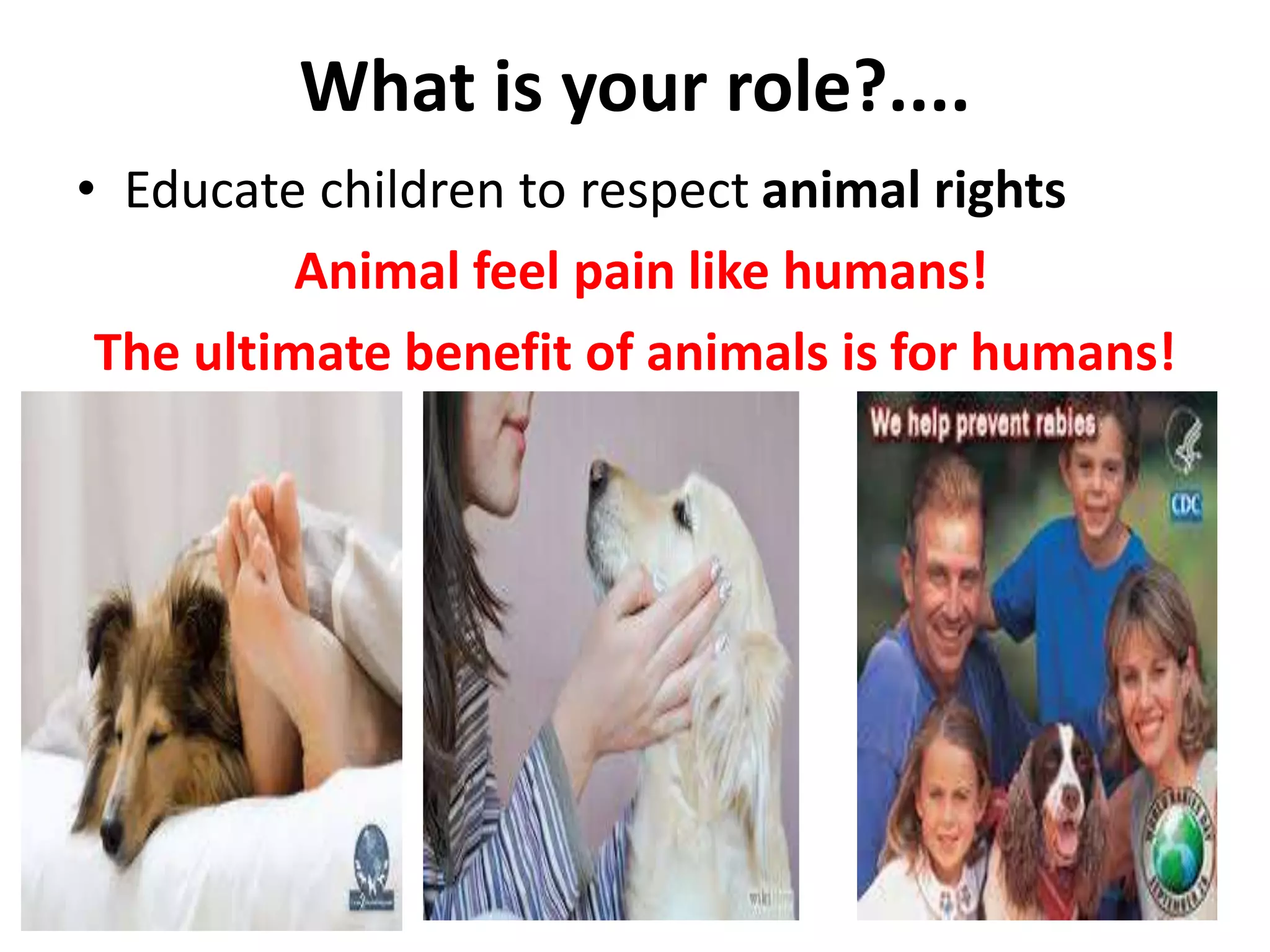 Rabies in children and preventive measures- world rabies day event 2014 ...