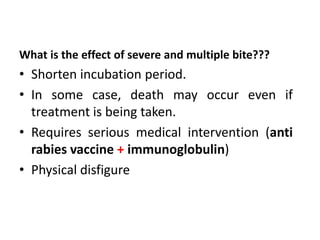 Rabies in children and preventive measures- world rabies day event 2014 ...