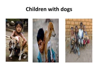 Rabies in children and preventive measures- world rabies day event 2014 ...