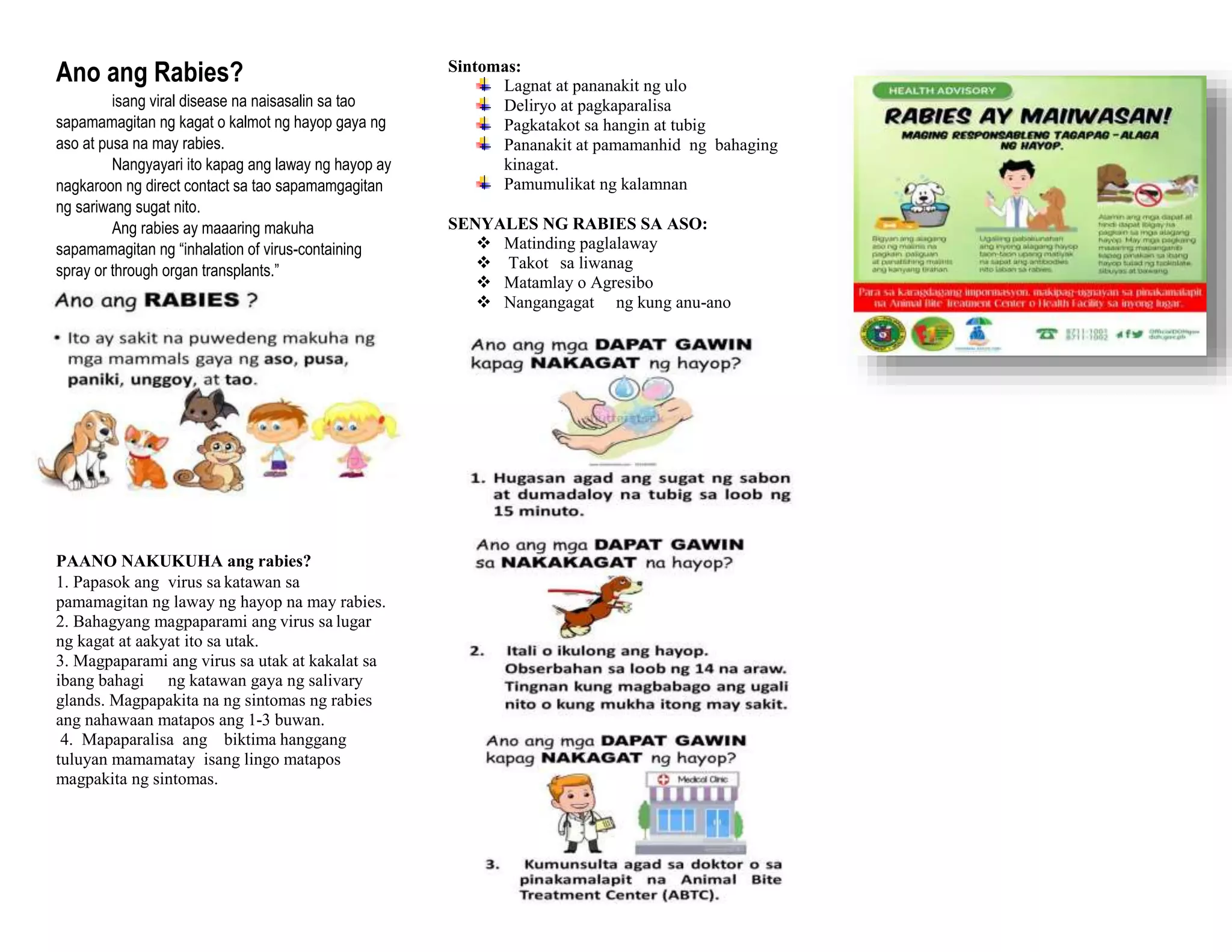 rabies at responsableng tagapangalaga.docx