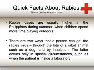 Rabies Awareness | PPT