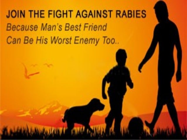 Rabies Awareness