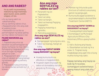 rabies brochure.pdf