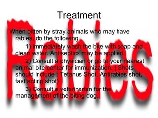 Rabies bsmt 2 1 | PPT | Free Download