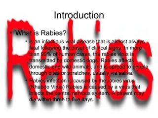 Rabies bsmt 2 1 | PPT