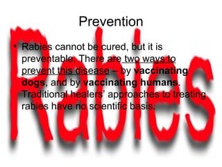Rabies bsmt 2 1 | PPT