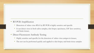 RABIES single strand RNA virus zoonotic infection | PPT